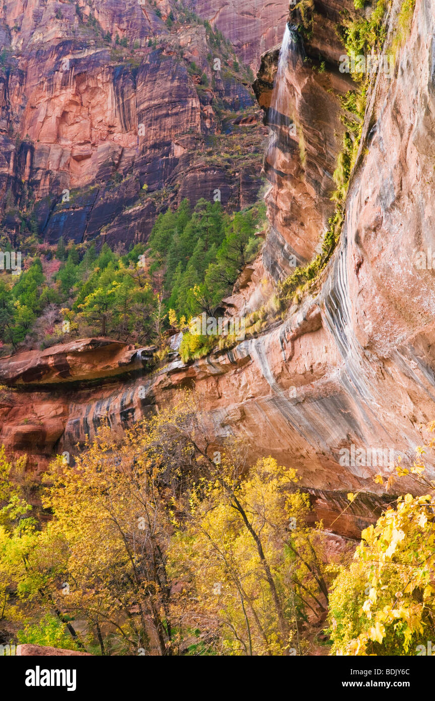 Fall color and cascade at the lower Emerald Pools, Zion National Park, Utah Stock Photo - Alamy