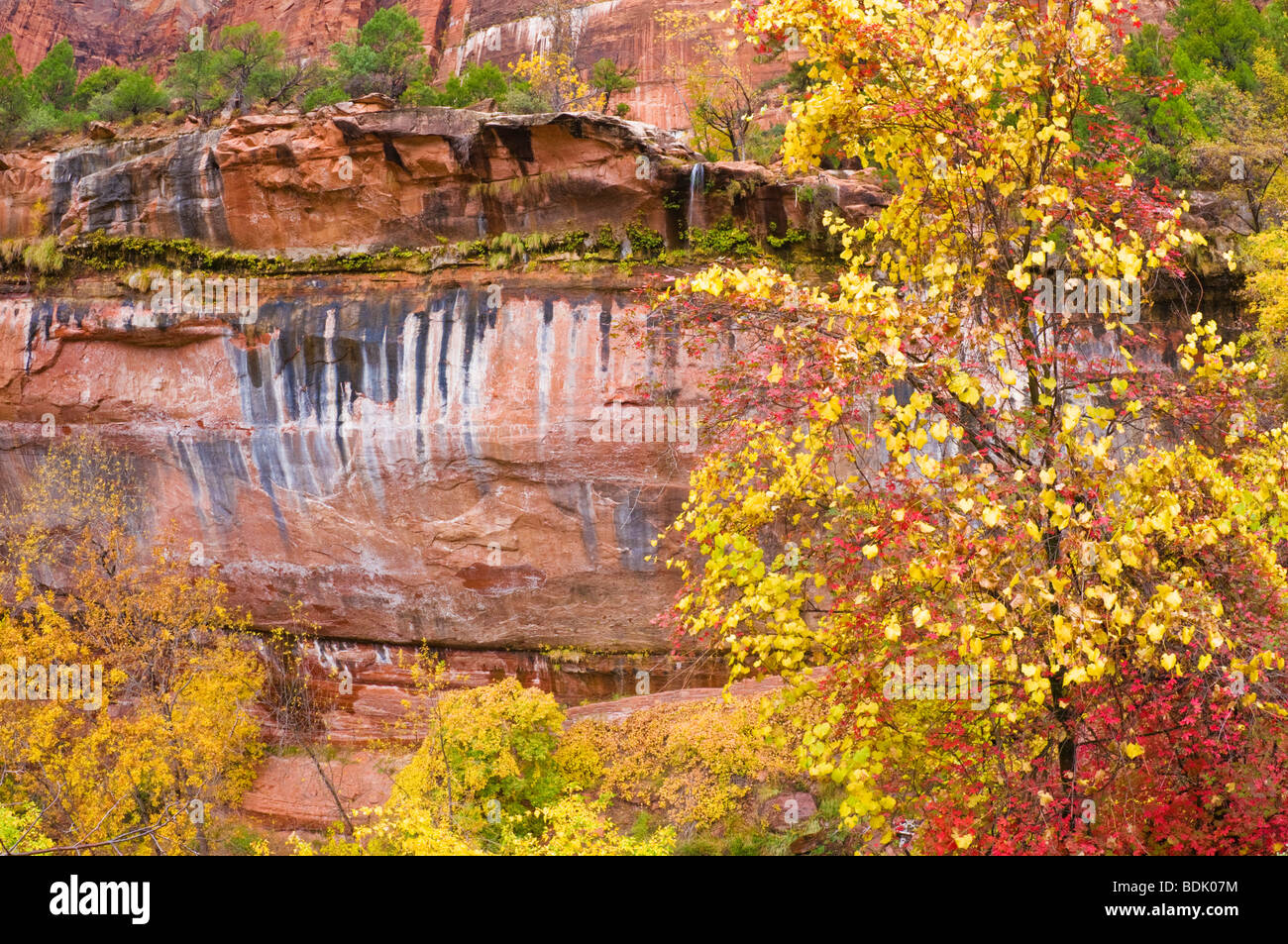 Fall color and cascade at the lower Emerald Pools, Zion National Park ...