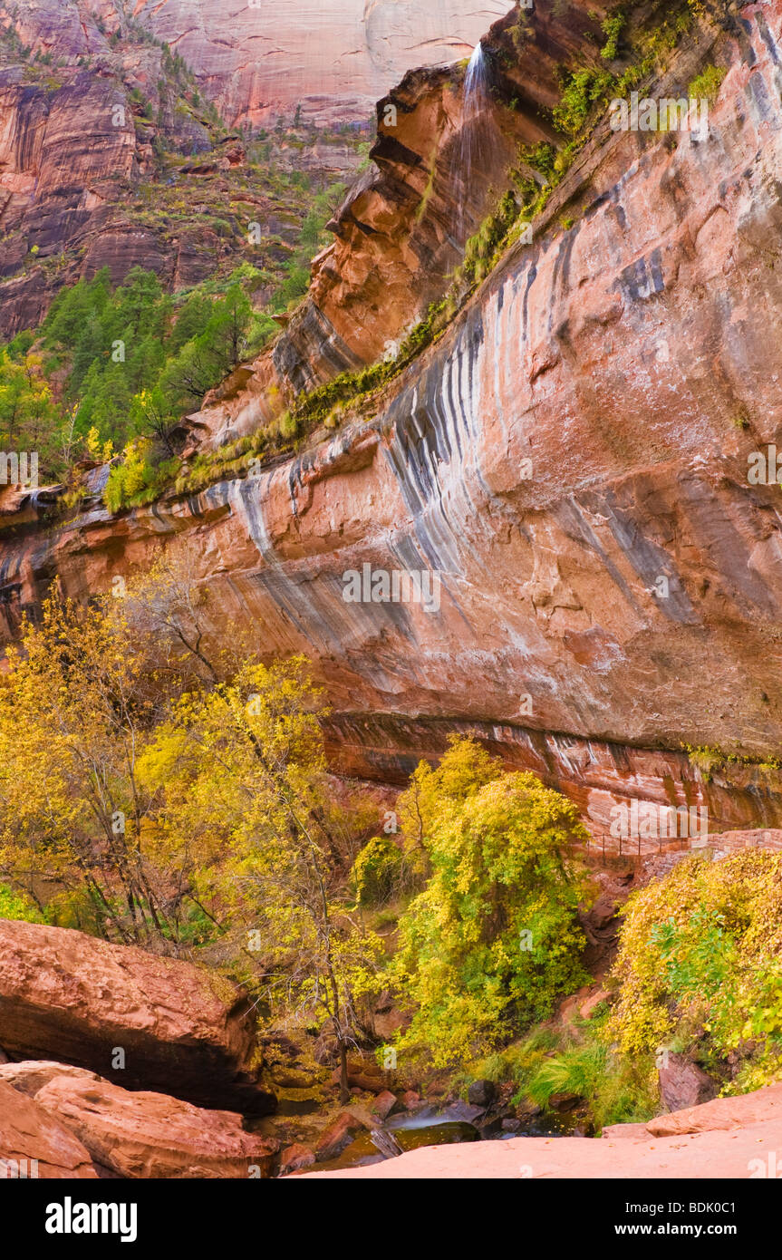 Fall color and cascade at the lower Emerald Pools, Zion National Park, Utah Stock Photo - Alamy