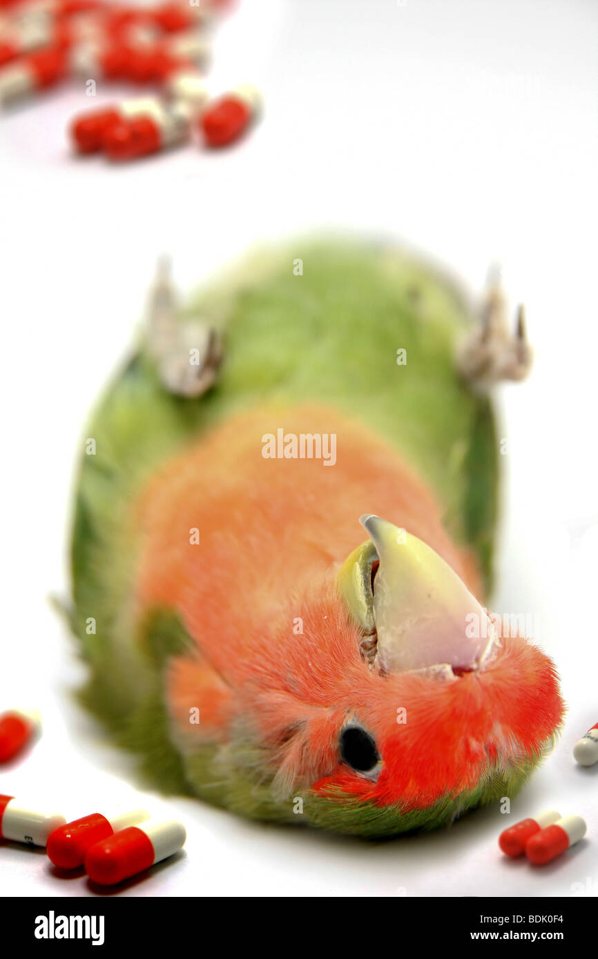 Overdose hi-res stock photography and images - Alamy