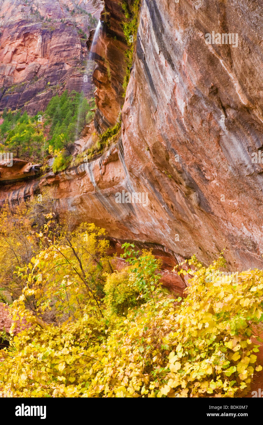 Fall color and cascade at the lower Emerald Pools, Zion National Park, Utah Stock Photo - Alamy