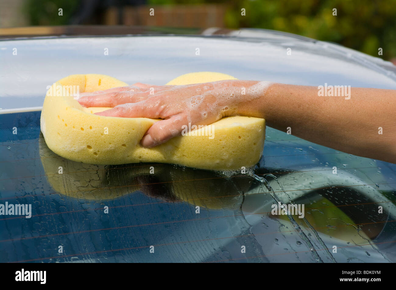 Woman Washing Her Car With A Sponge Stock Photo - Alamy