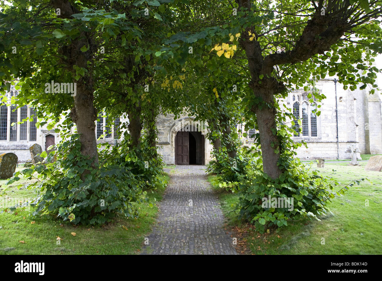 pathway llined with trees eading to front of church Stock Photo - Alamy