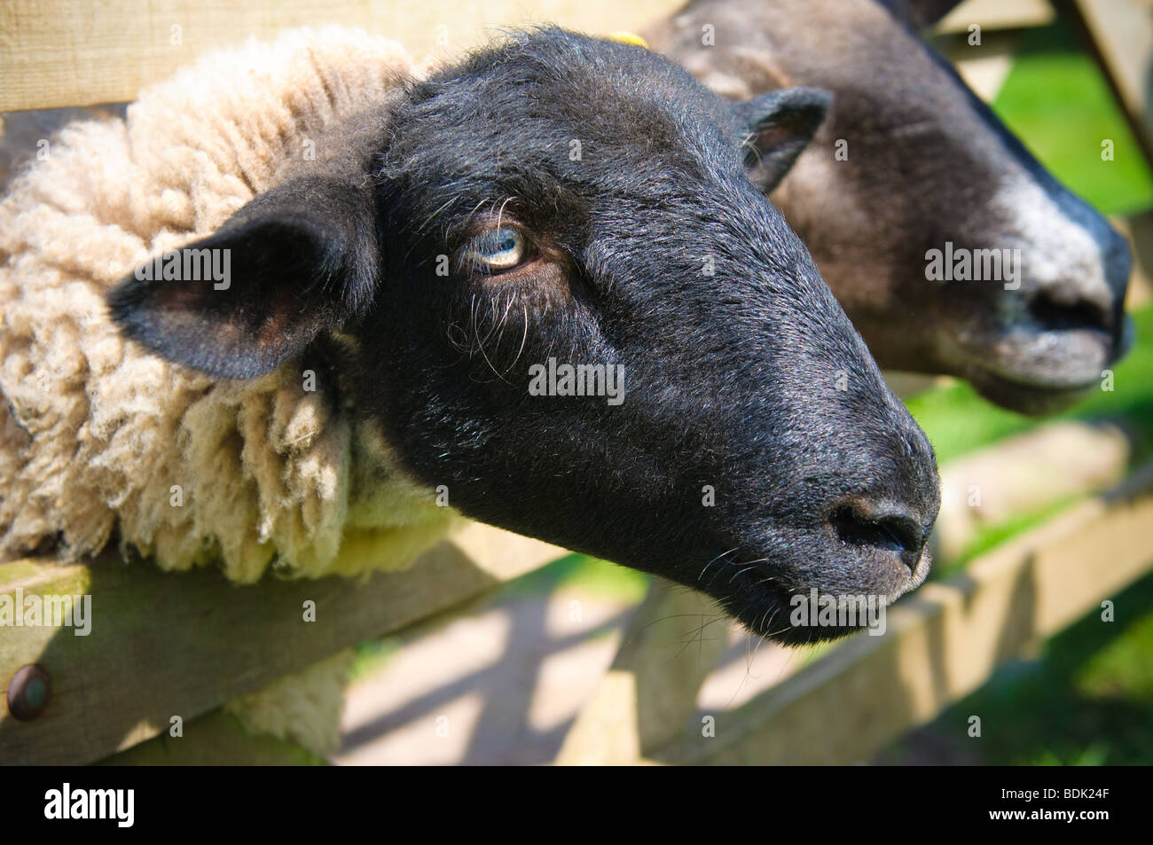 Stonehurst Farm High Resolution Stock Photography and Images - Alamy