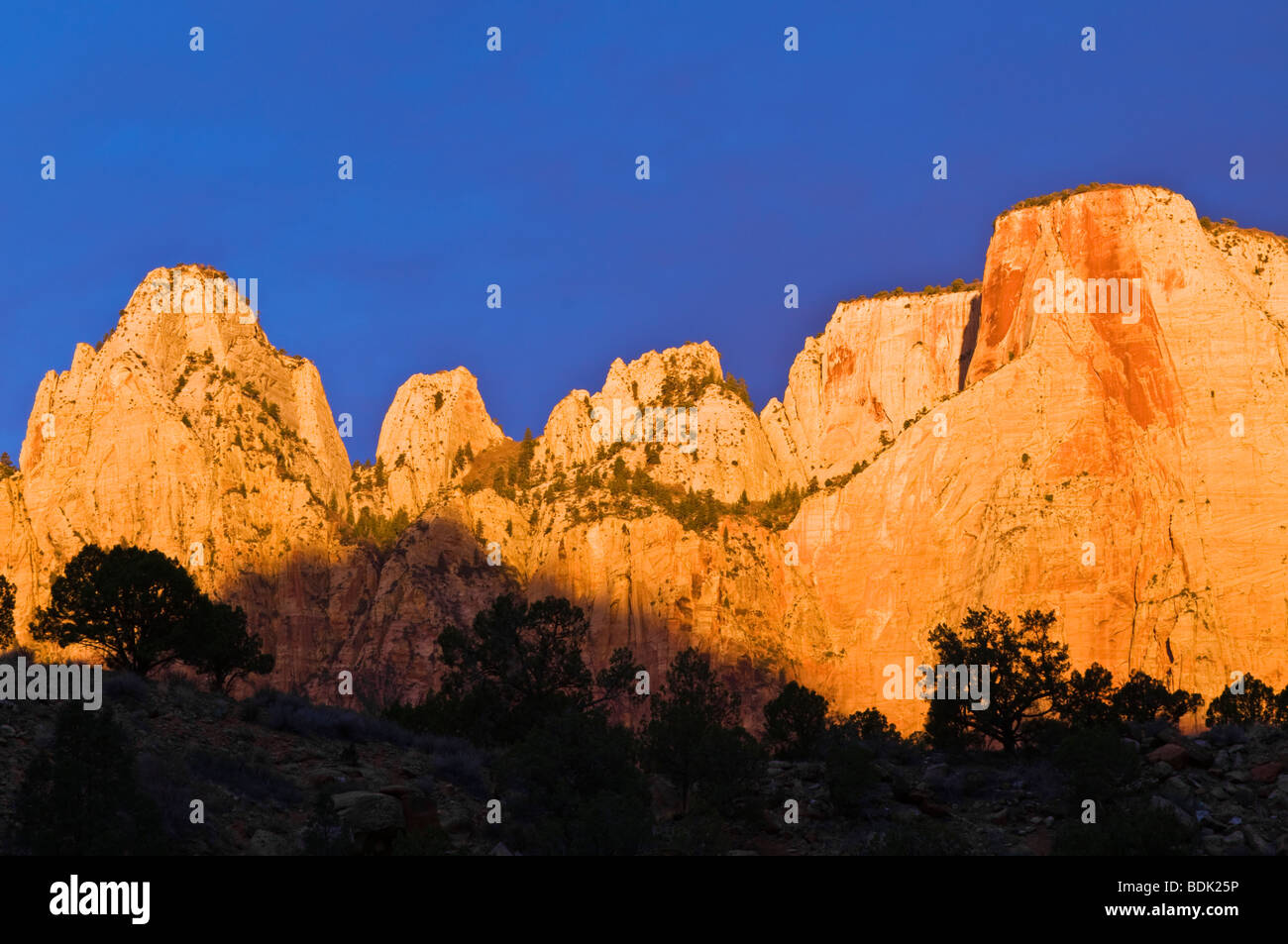 Dawn light on the Towers of the Virgin, Zion National Park, Utah Stock ...