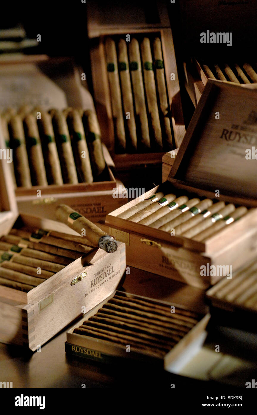 Dutch cigars hi-res stock photography and images - Alamy
