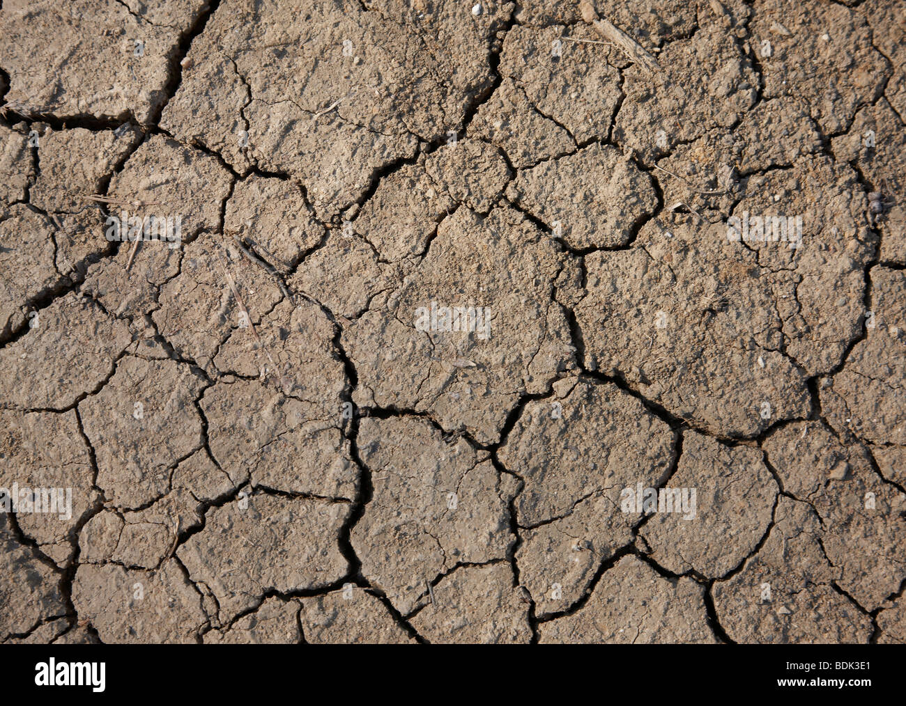Mud drying and cracking hi-res stock photography and images - Alamy