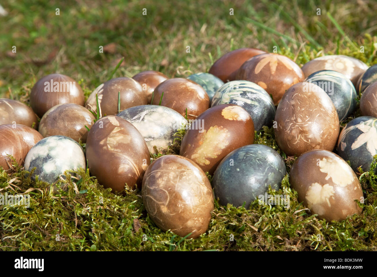 Colorful easter eggs in grass Stock Photo - Alamy