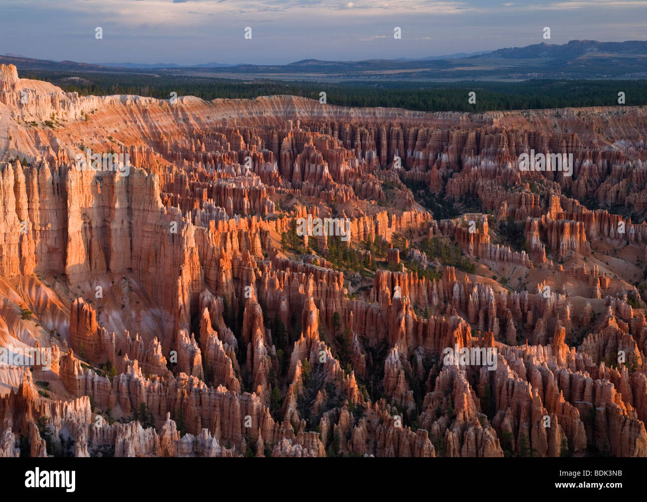 Bryce Amphitheater, Bryce Canyon National Park, Utah Stock Photo - Alamy