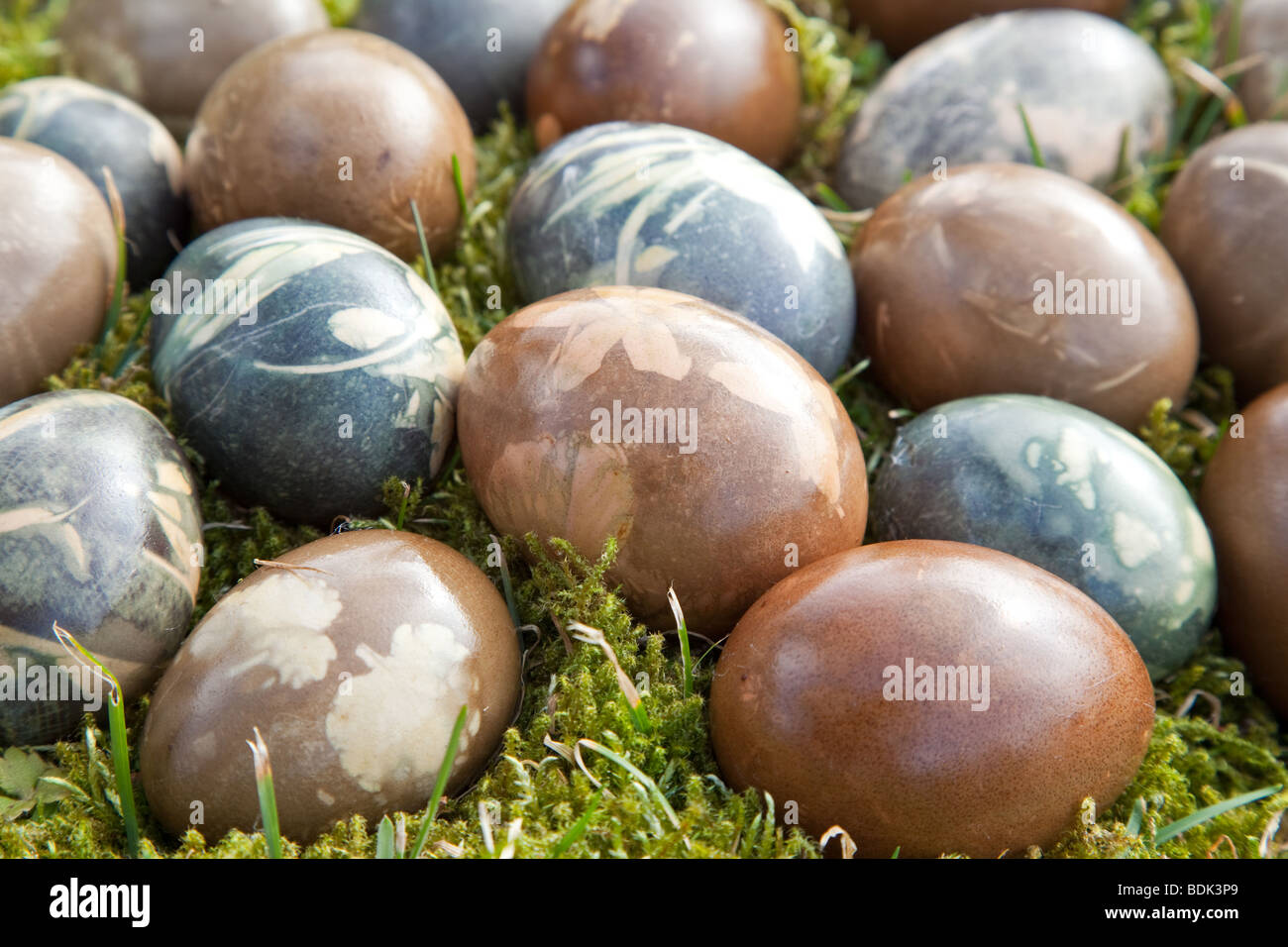 Colorful easter eggs in grass Stock Photo - Alamy