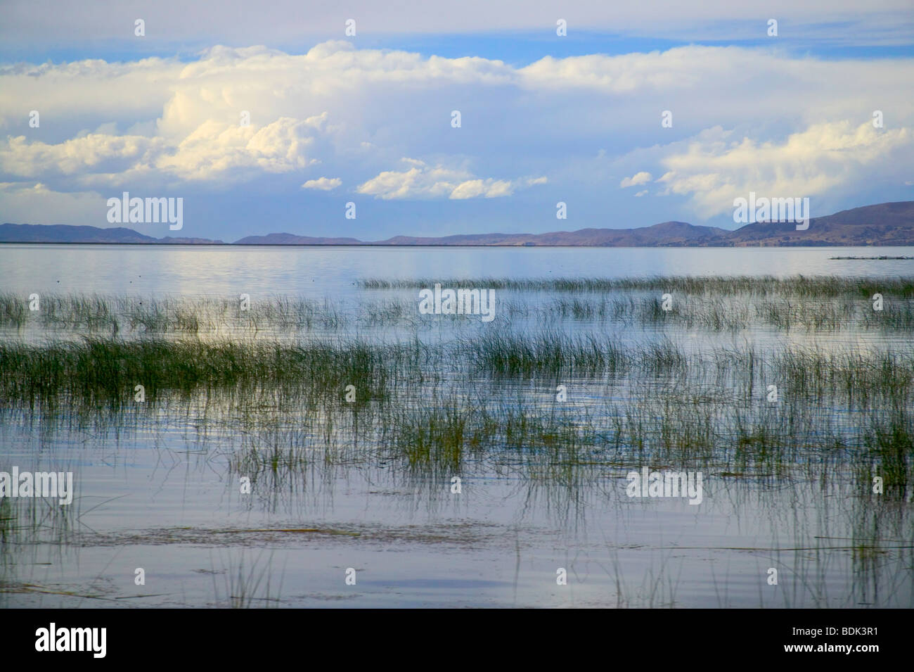Landscape of Lake Titicaca, Bolivia Stock Photo - Alamy