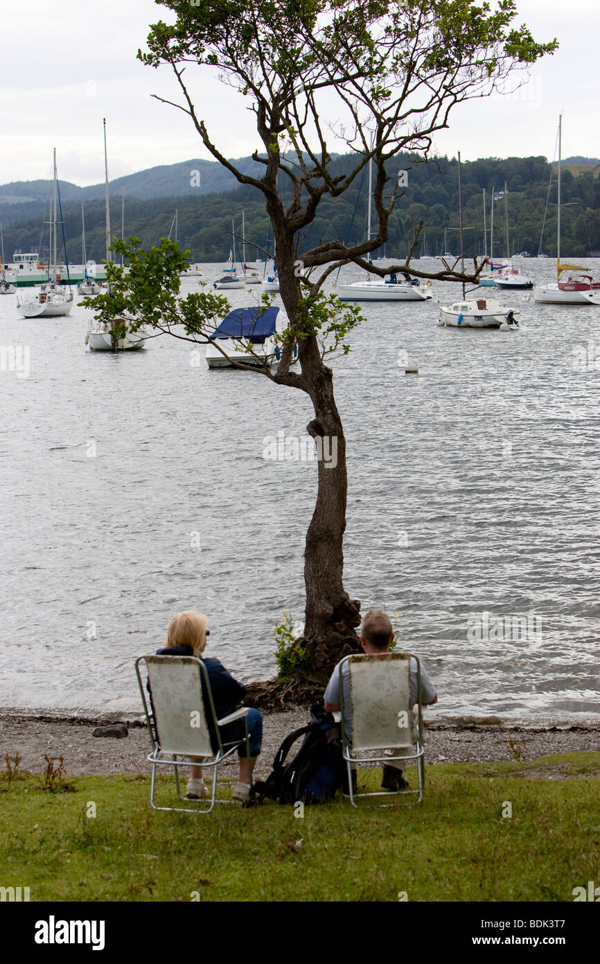 Looking at trees Stock Photo - Alamy