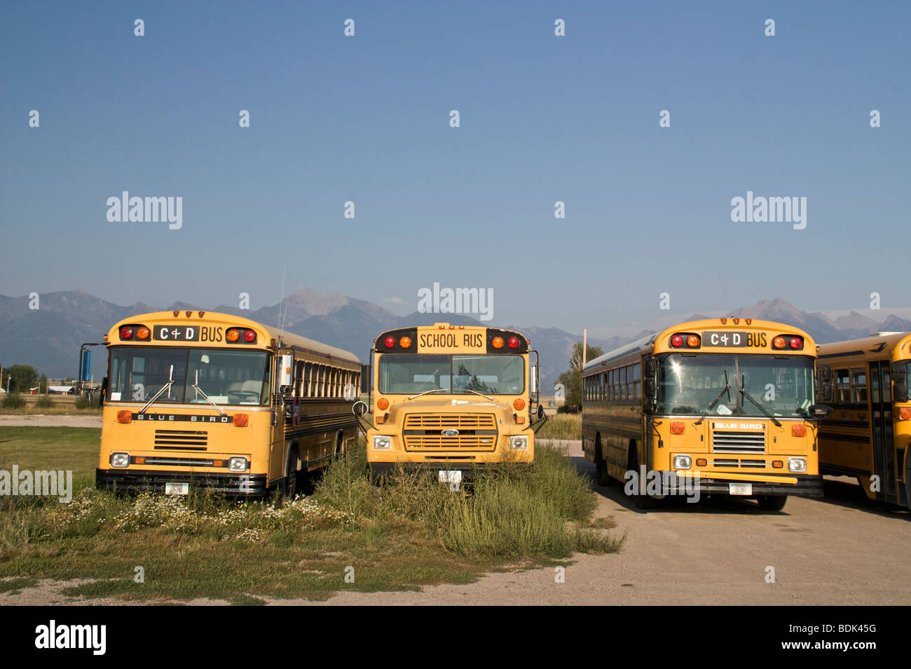 Three yellow school bus hi-res stock photography and images - Alamy