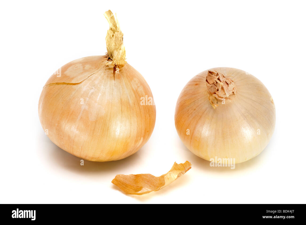 Two English onions with skin Stock Photo - Alamy