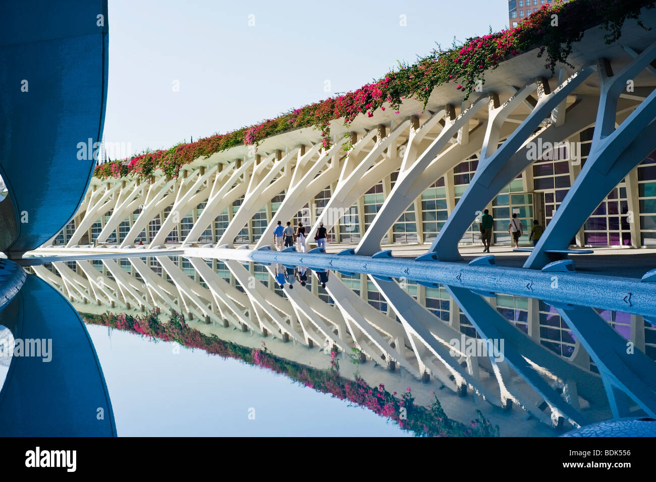 Umbracle gardens hi-res stock photography and images - Alamy