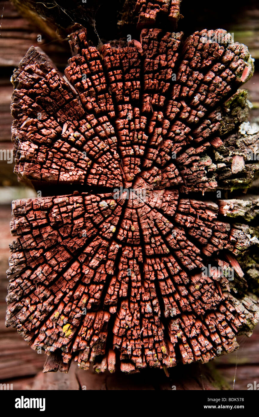 Baulk of timber hi-res stock photography and images - Alamy