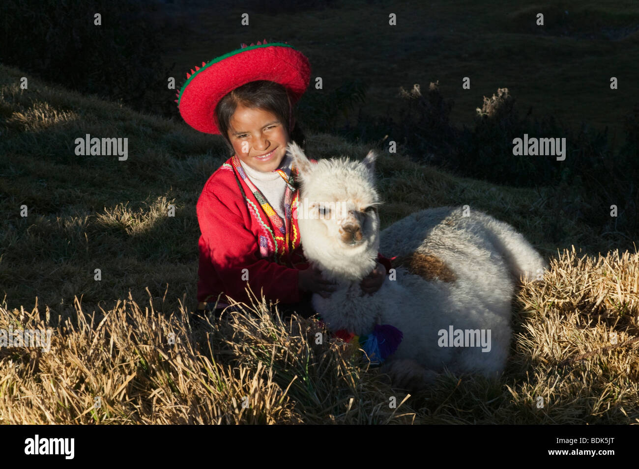 Indian girl with alpaca, Sacsayhuaman, Cuzco, Peru Stock Photo - Alamy