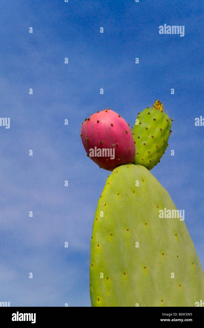 Desert peru hi-res stock photography and images - Alamy