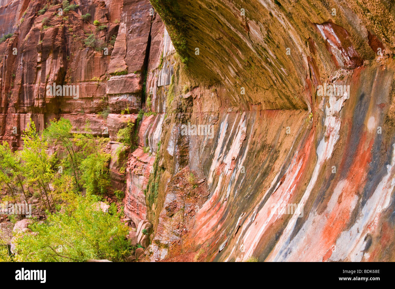 The Weeping Wall, Zion National Park, Utah Stock Photo - Alamy