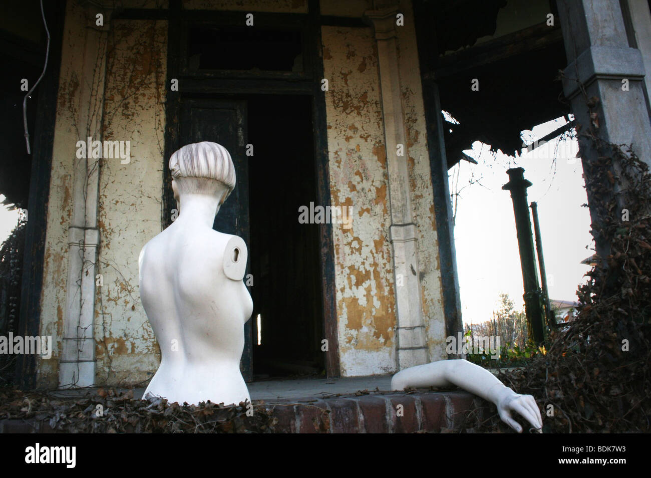 a white woman mannequin without limbs and legs in an abandoned house ...