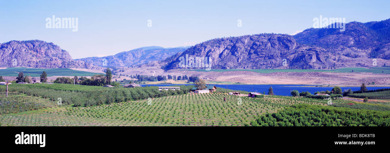 Osoyoos lake landscapes hi-res stock photography and images - Alamy