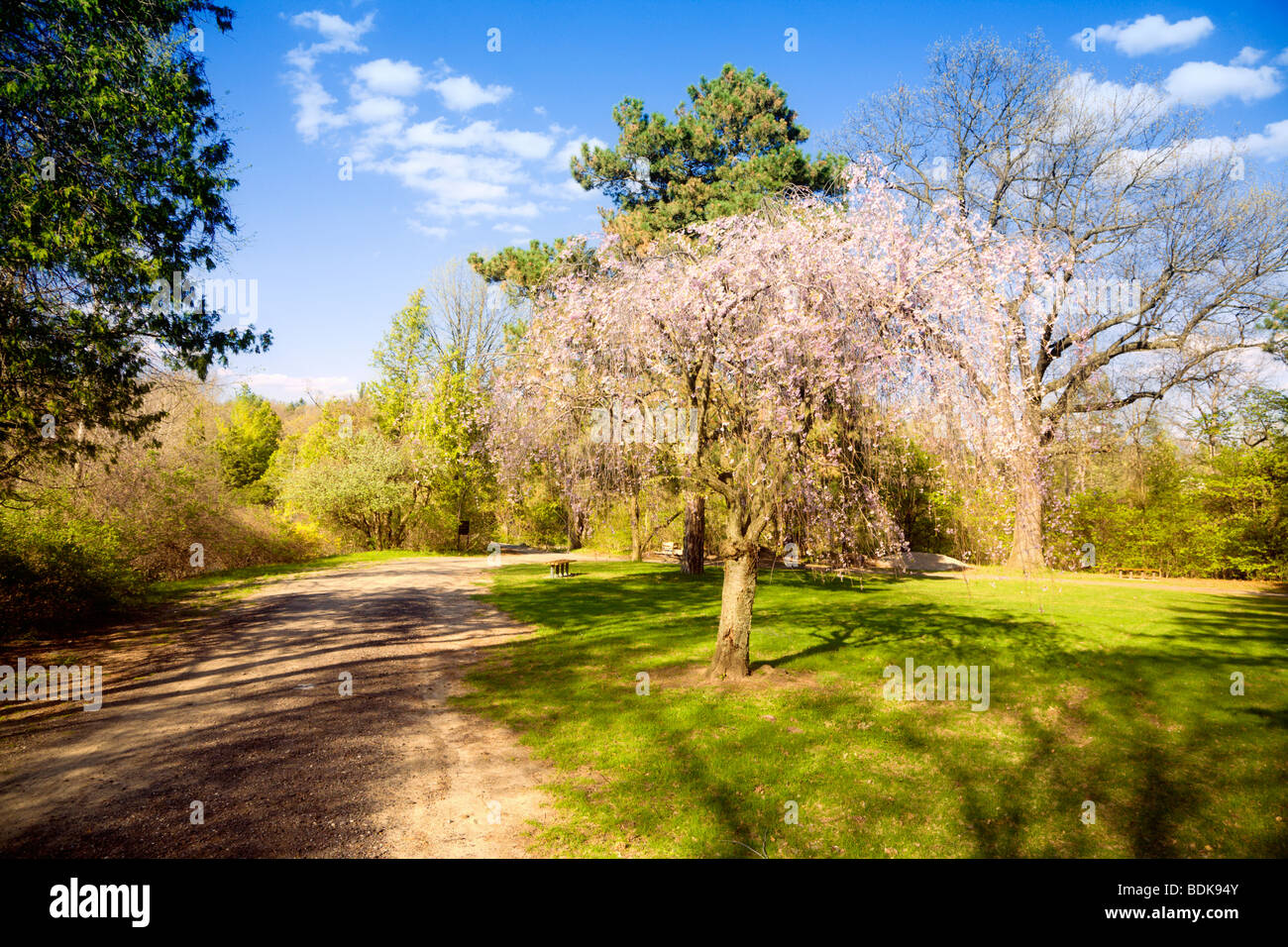 Nature park and trail hi-res stock photography and images - Alamy