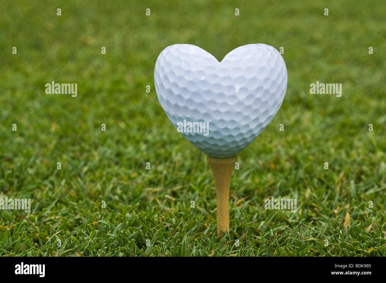 Heart-shaped golf ball sitting on a tee Stock Photo - Alamy