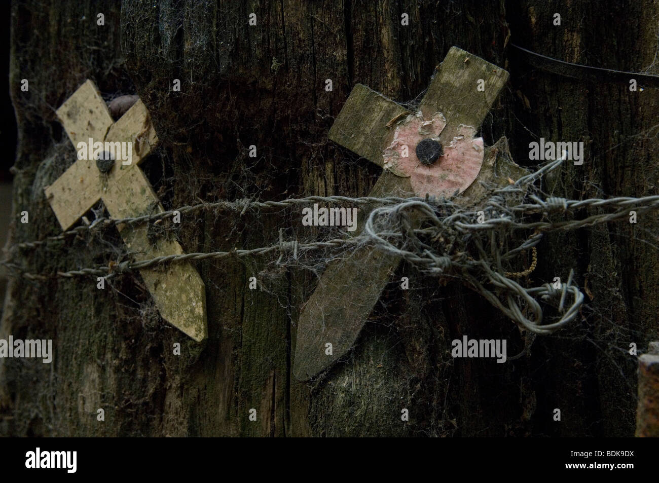 Barbed wire sunday hi-res stock photography and images - Alamy