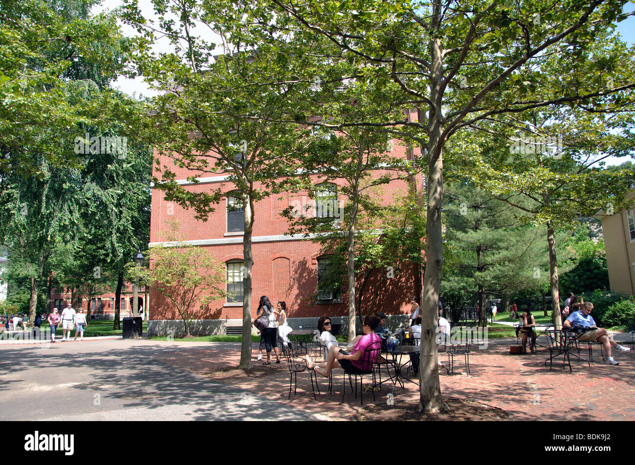 Harvard University campus, Cambridge, Massachusetts (USA Stock Photo ...