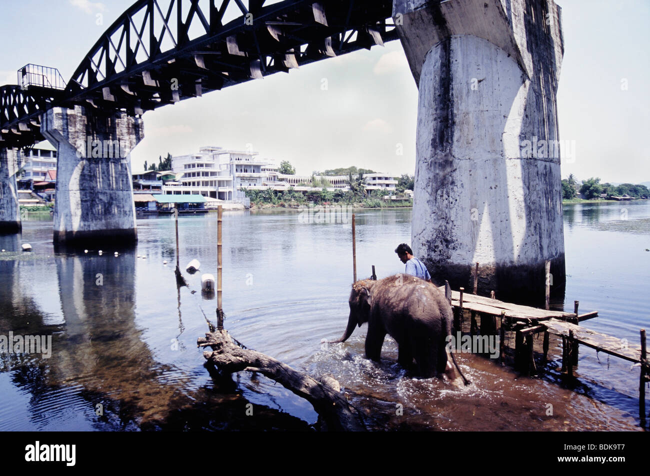 Elephant under bridge over River Kwai in Thailand Stock Photo - Alamy