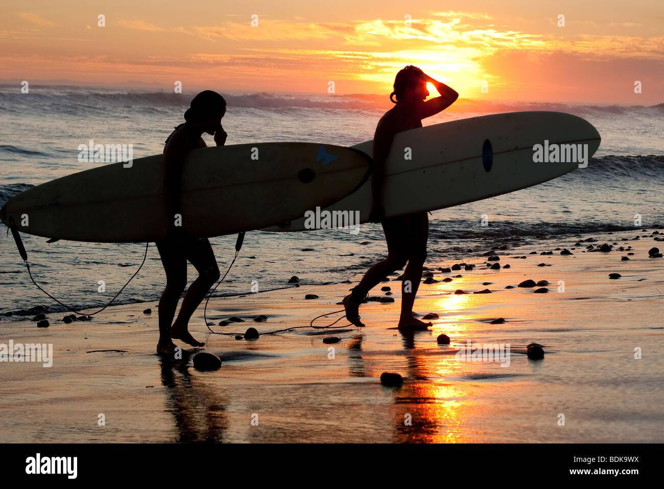 Surfer girls in the sunset Stock Photo - Alamy