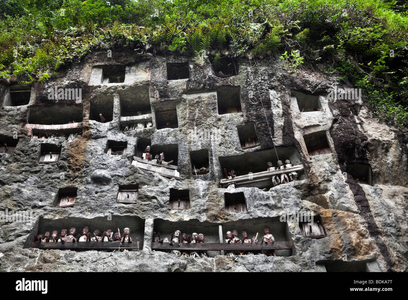 Indonesia, Sulawesi, Tana Toraja area, Lemo village Stock Photo - Alamy