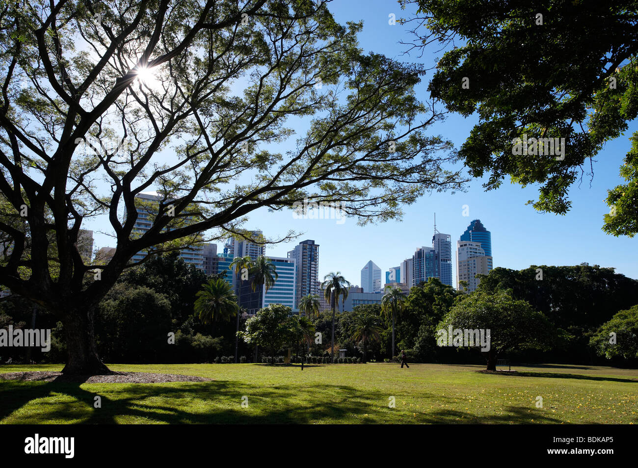 Brisbane City Botanical Gardens Stock Photo - Alamy