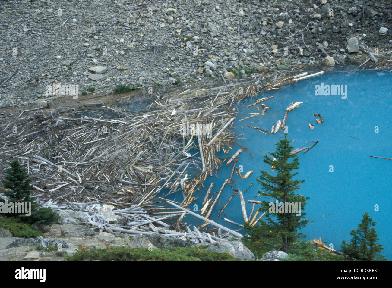 canada, near toronto, wood factory Stock Photo - Alamy