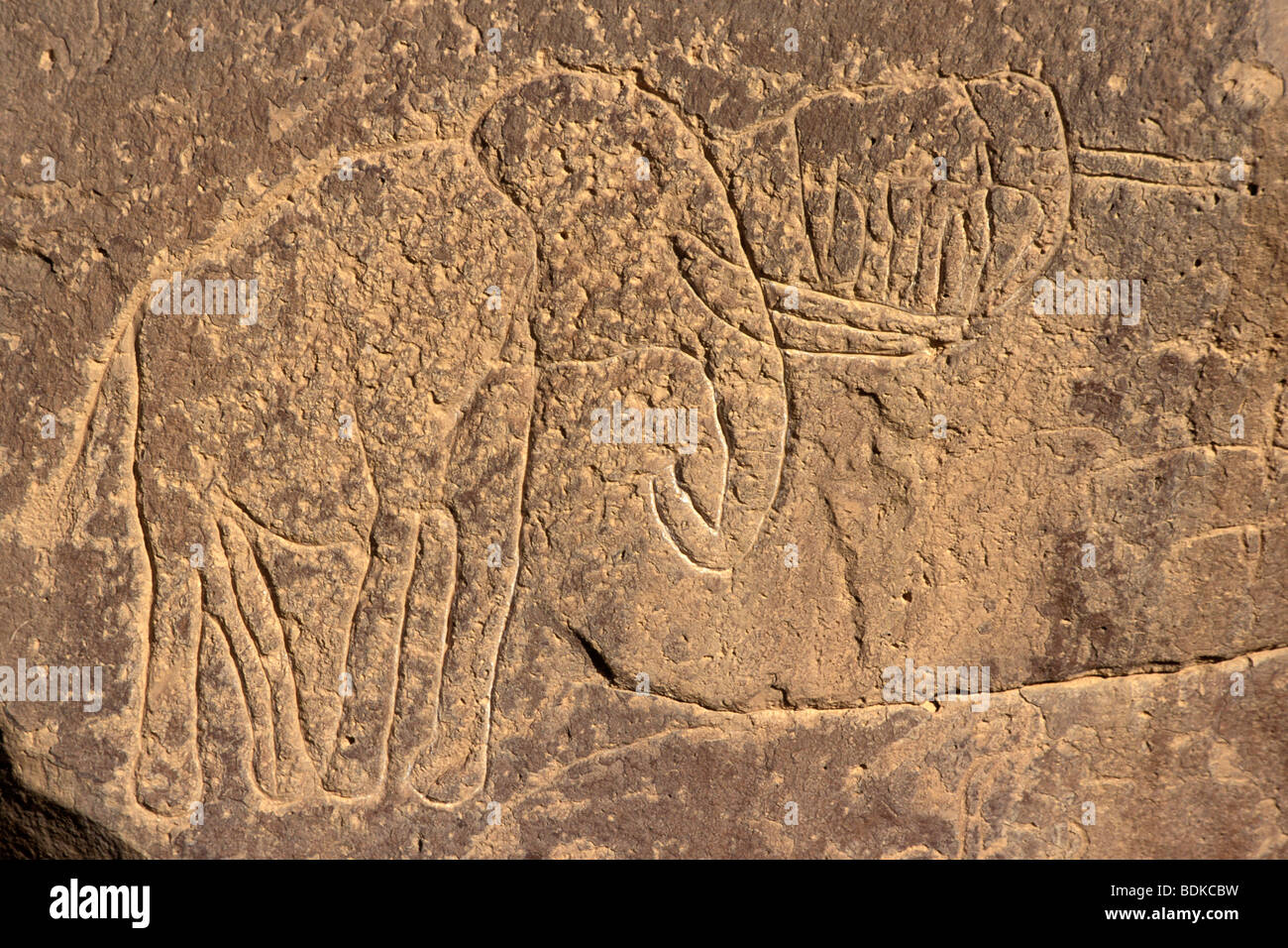 chad, sahara desert, graffiti rock Stock Photo - Alamy