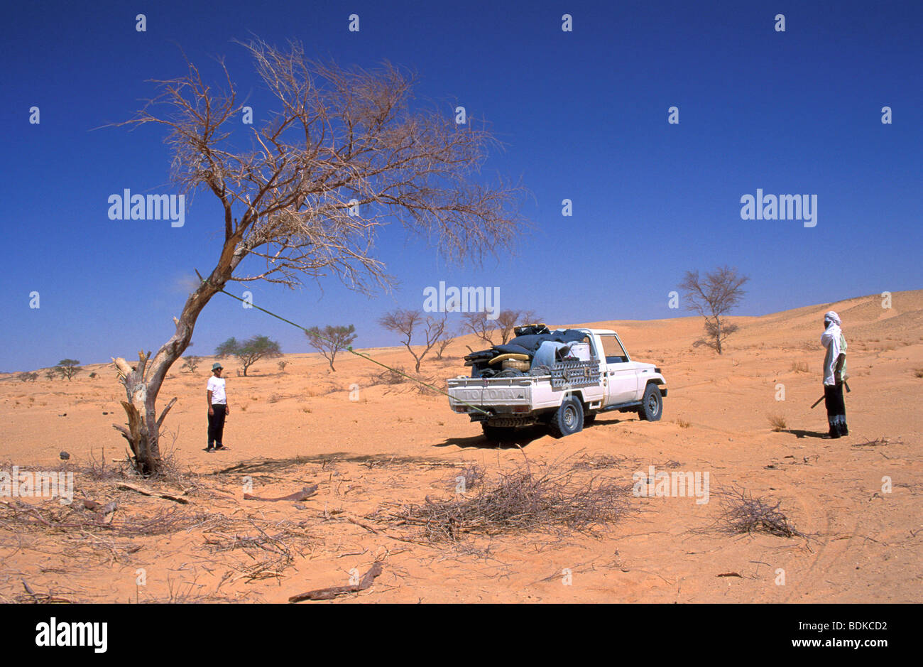 chad, sahara desert Stock Photo - Alamy