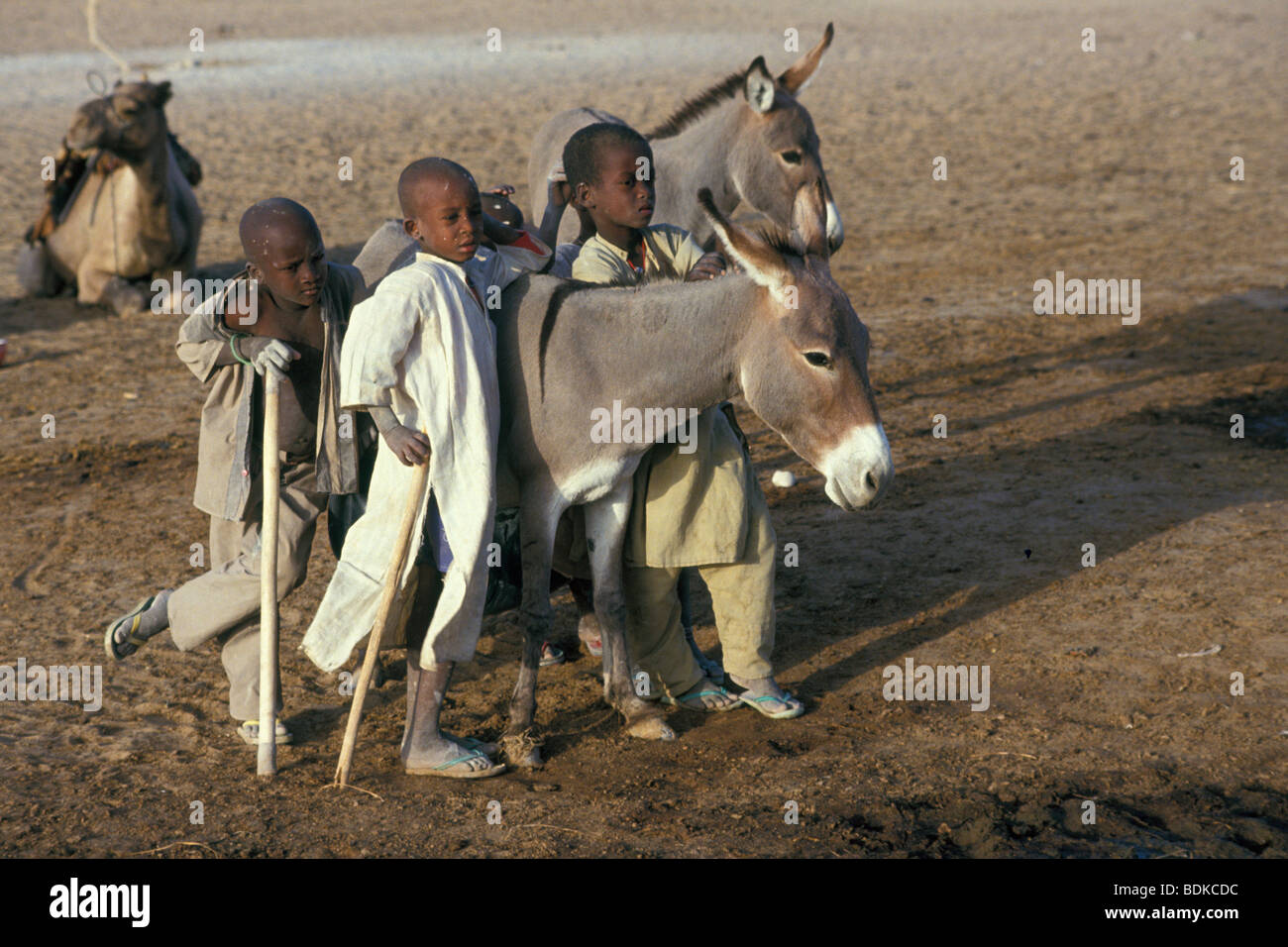 chad, sahara desert, children Stock Photo - Alamy