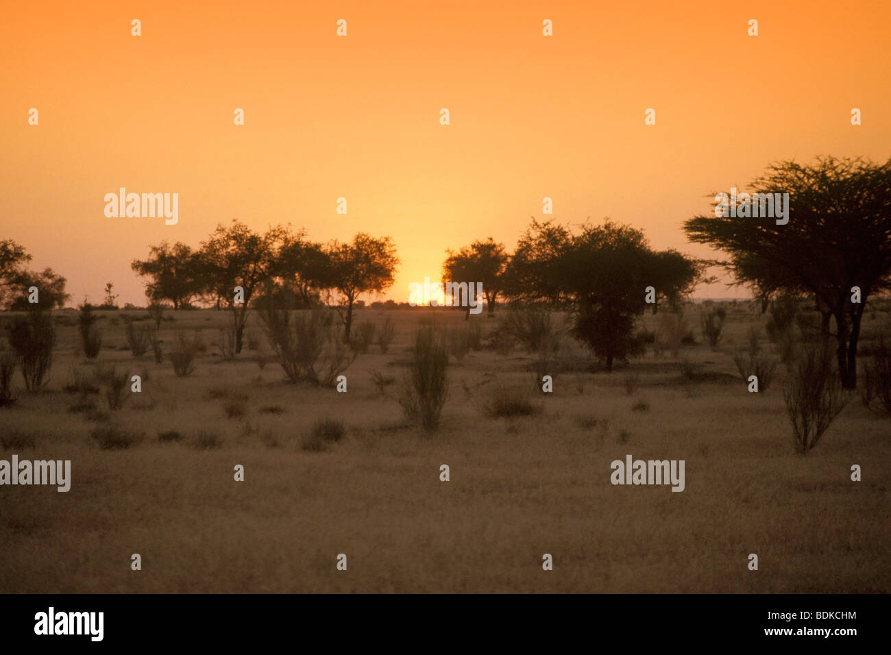 chad, sahara desert, sunset Stock Photo - Alamy