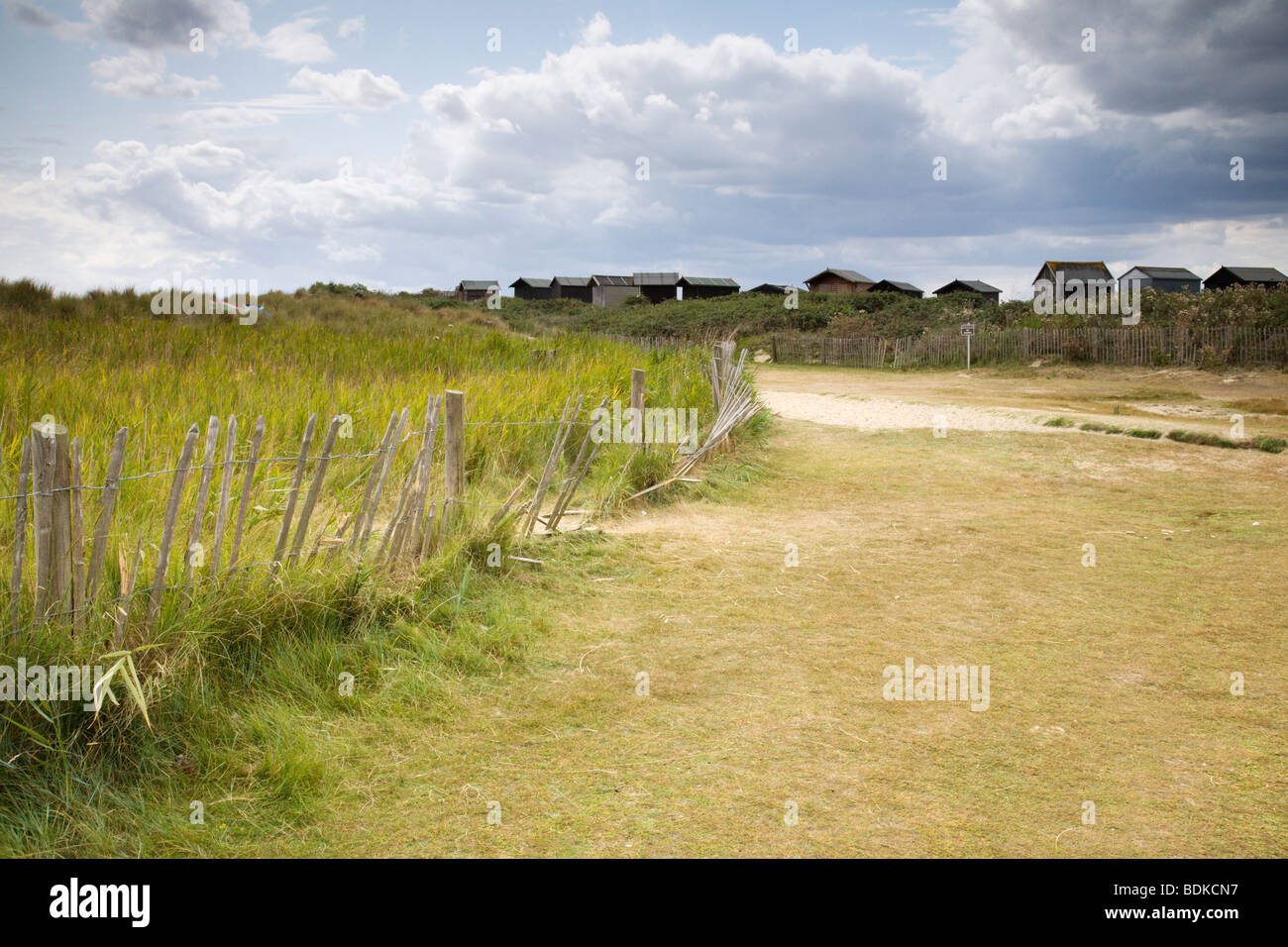 Walberswick sand dunes, Suffolk, England, UK Stock Photo - Alamy