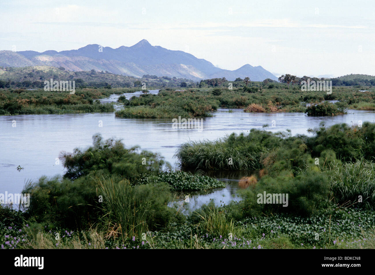 River nile flood hi-res stock photography and images - Alamy