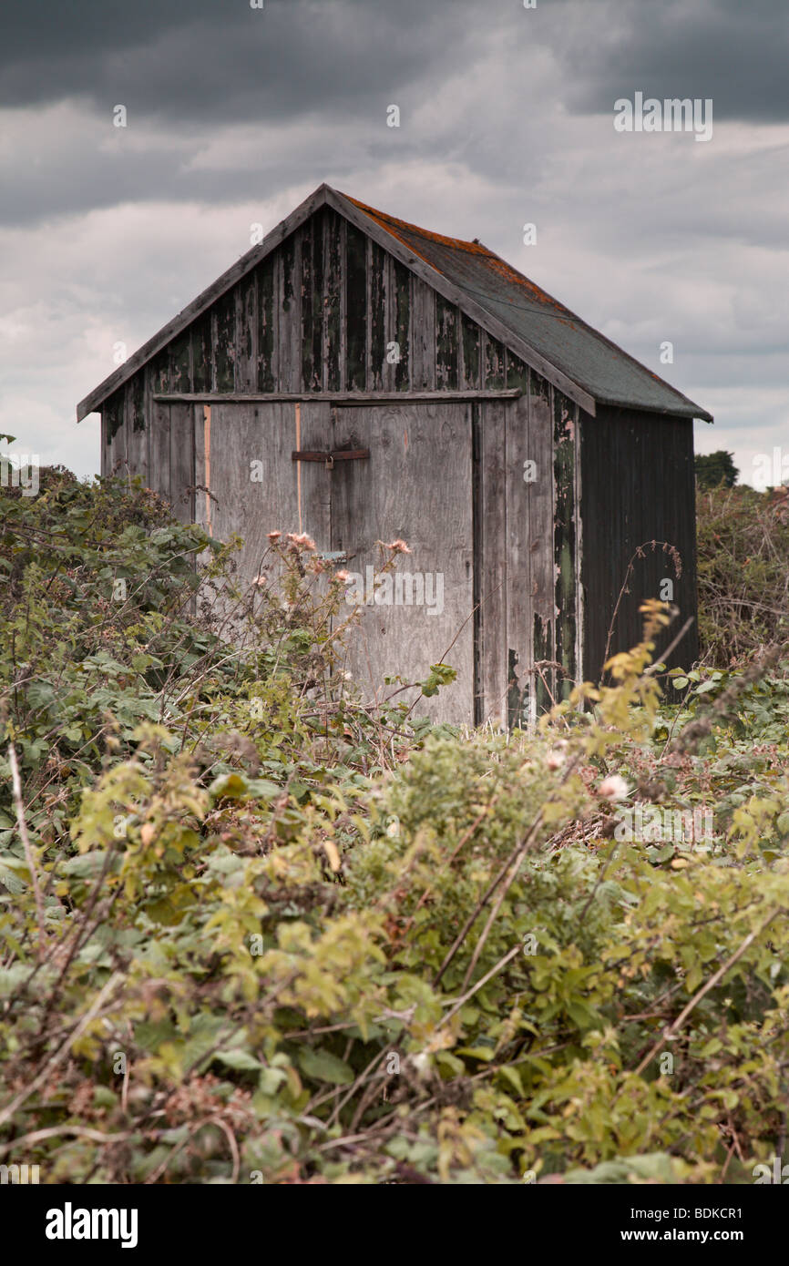 An old shed Stock Photo - Alamy