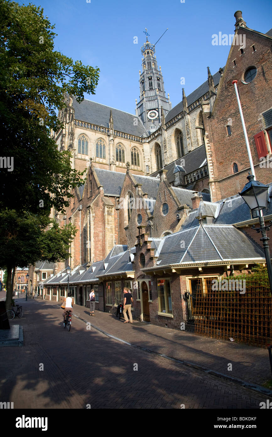 St Bavo cathedral Haarlem Holland Stock Photo - Alamy