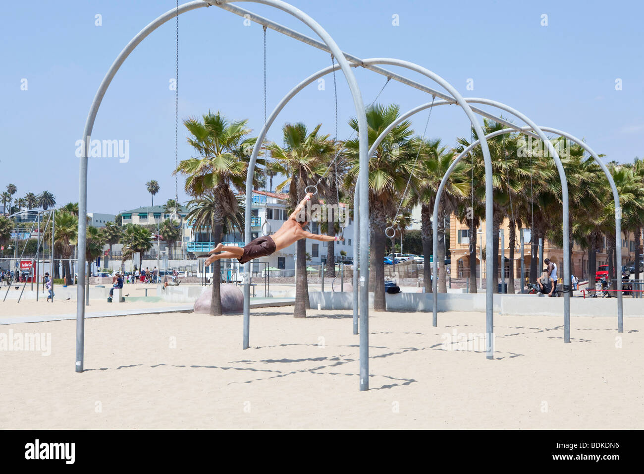 Muscle beach hi-res stock photography and images - Alamy