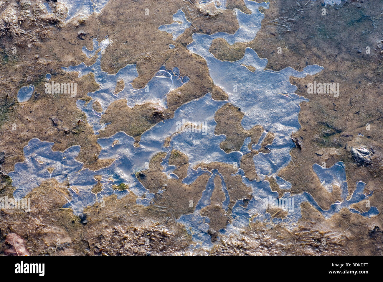 Frozen mud hi-res stock photography and images - Alamy