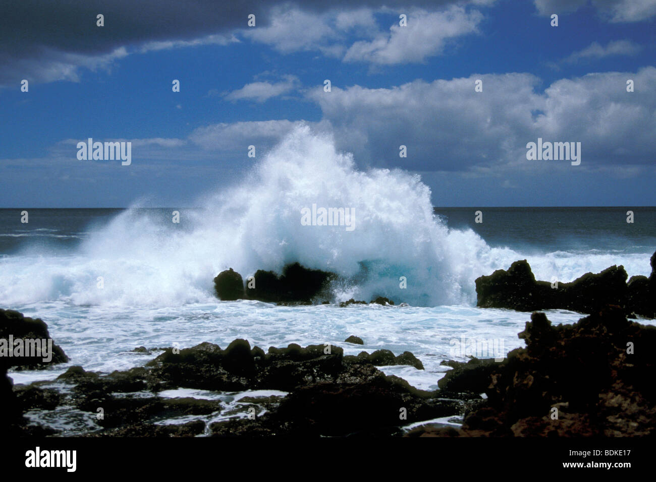 Easter reef hi-res stock photography and images - Alamy