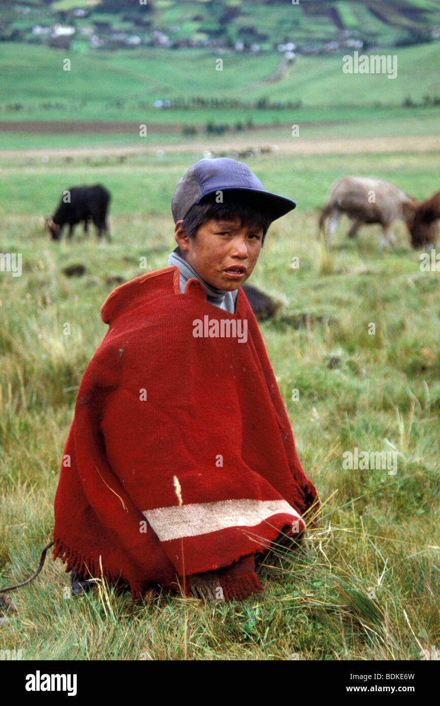 ecuador, surrounding of quito, boy Stock Photo - Alamy