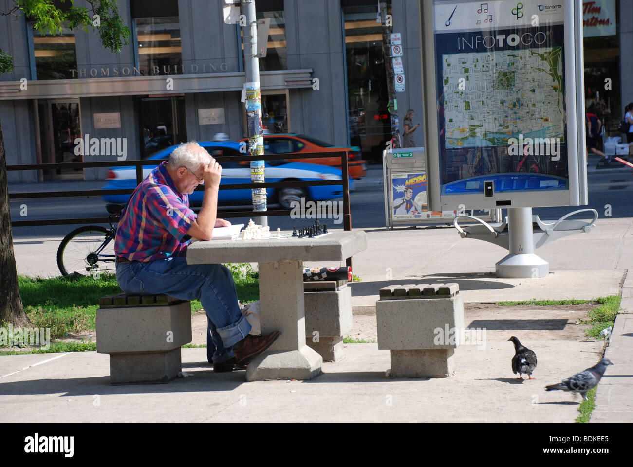 Senior man playing chess at Nathan Phillips square in Toronto, Canada ...