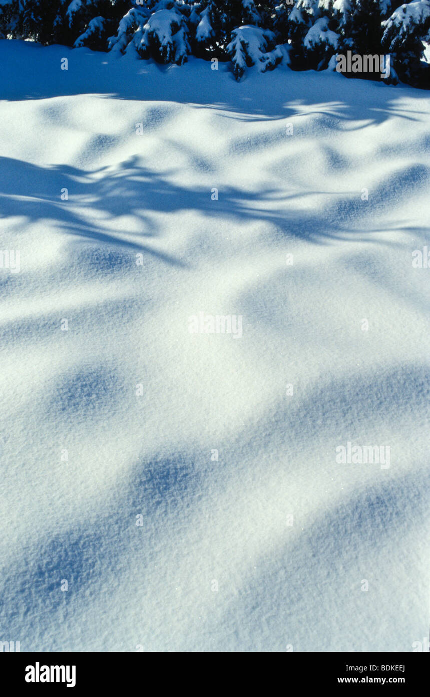Undisturbed places hi-res stock photography and images - Alamy