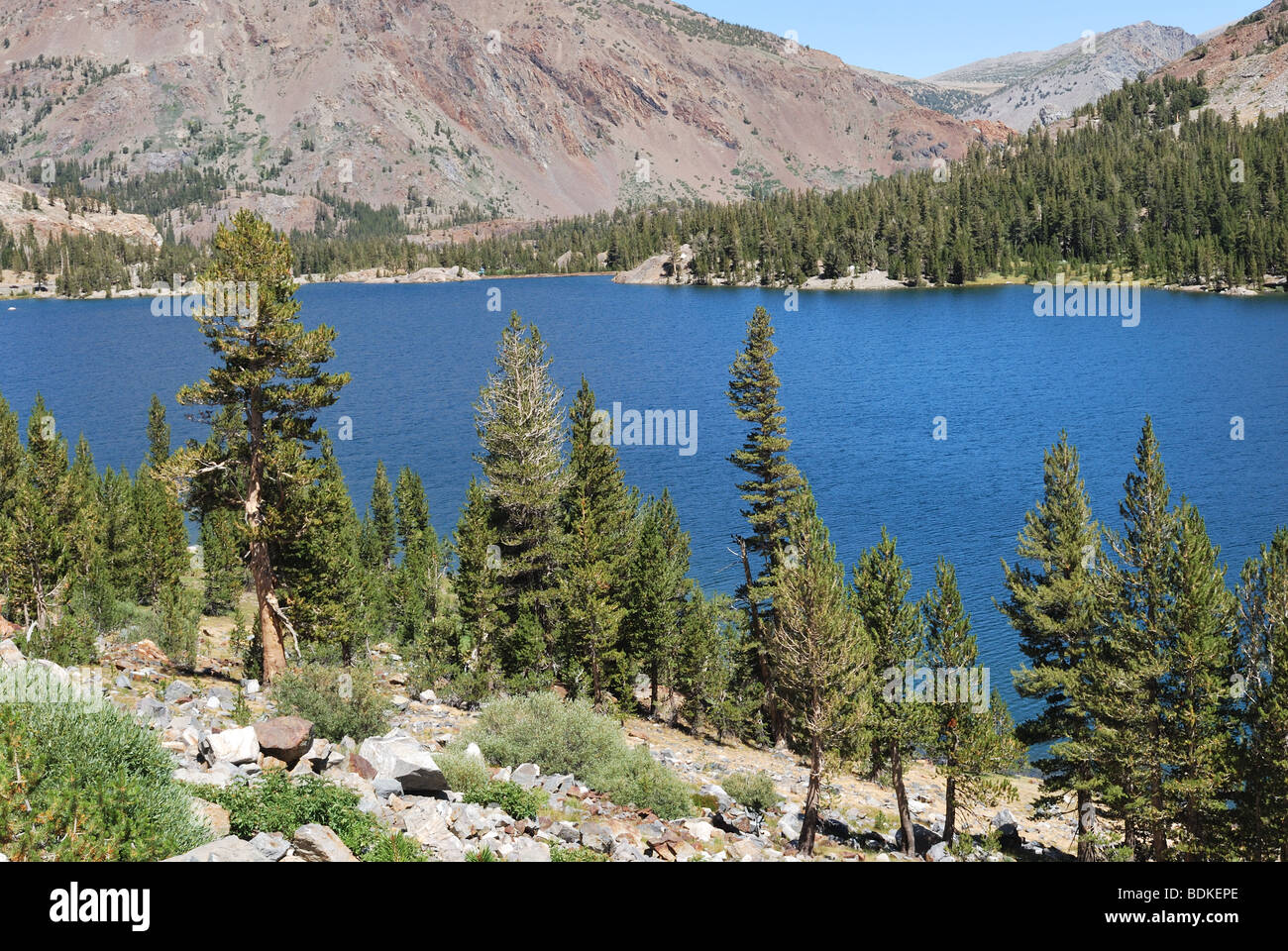 Tenaya Lake near Tioga Pass, Yosemite National Park, California Stock ...