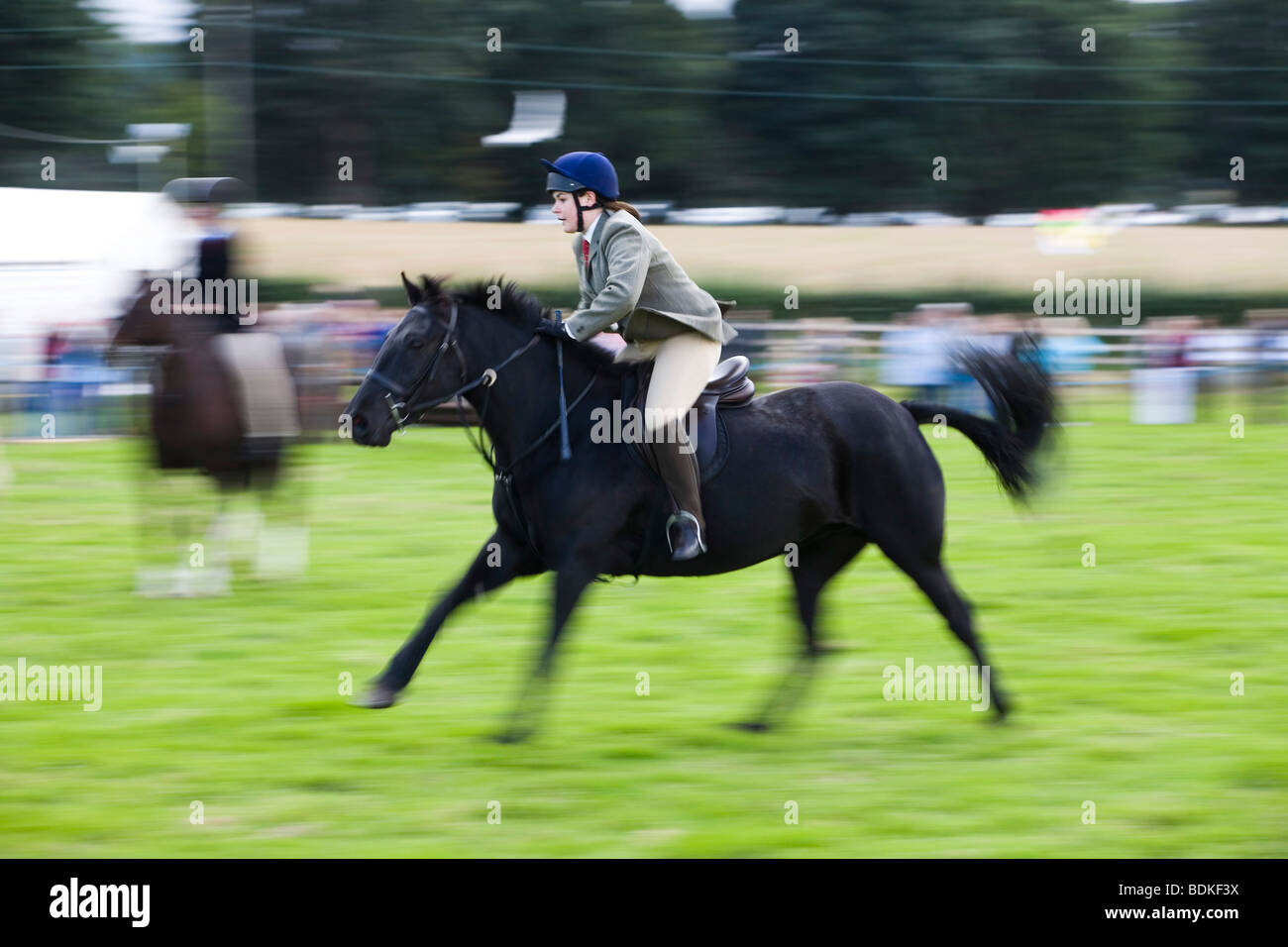 Bellingham show hi-res stock photography and images - Alamy